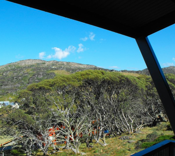 Perisher Stables Lodge Apartments For Sale - Forbes Stynes Property Group