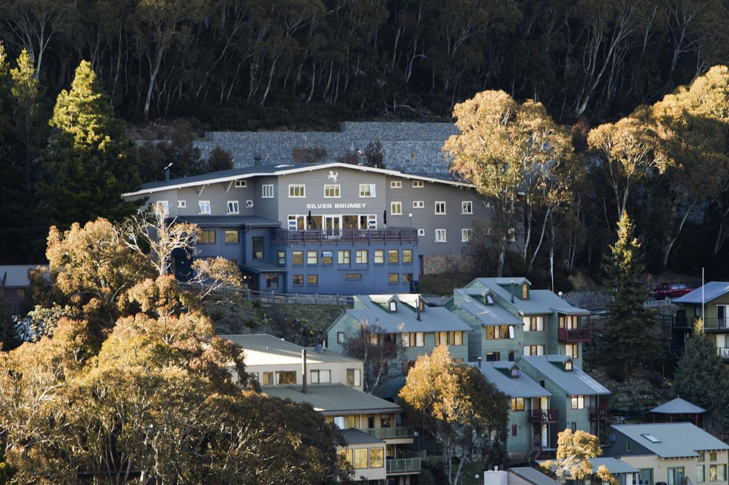 Silver Brumby Share for Sale - Forbes Stynes Real Estate